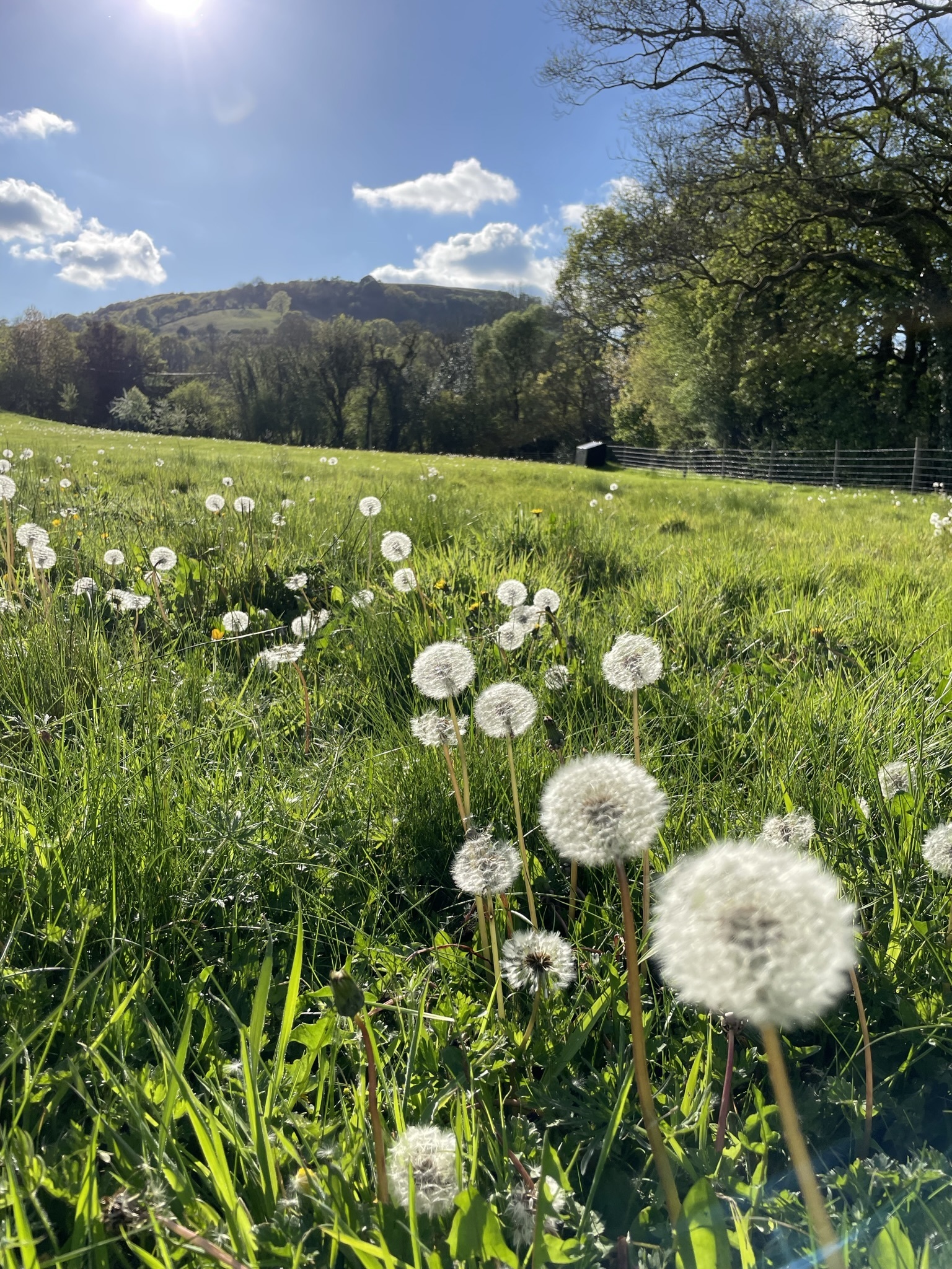 The Cabin - Erwain Escapes