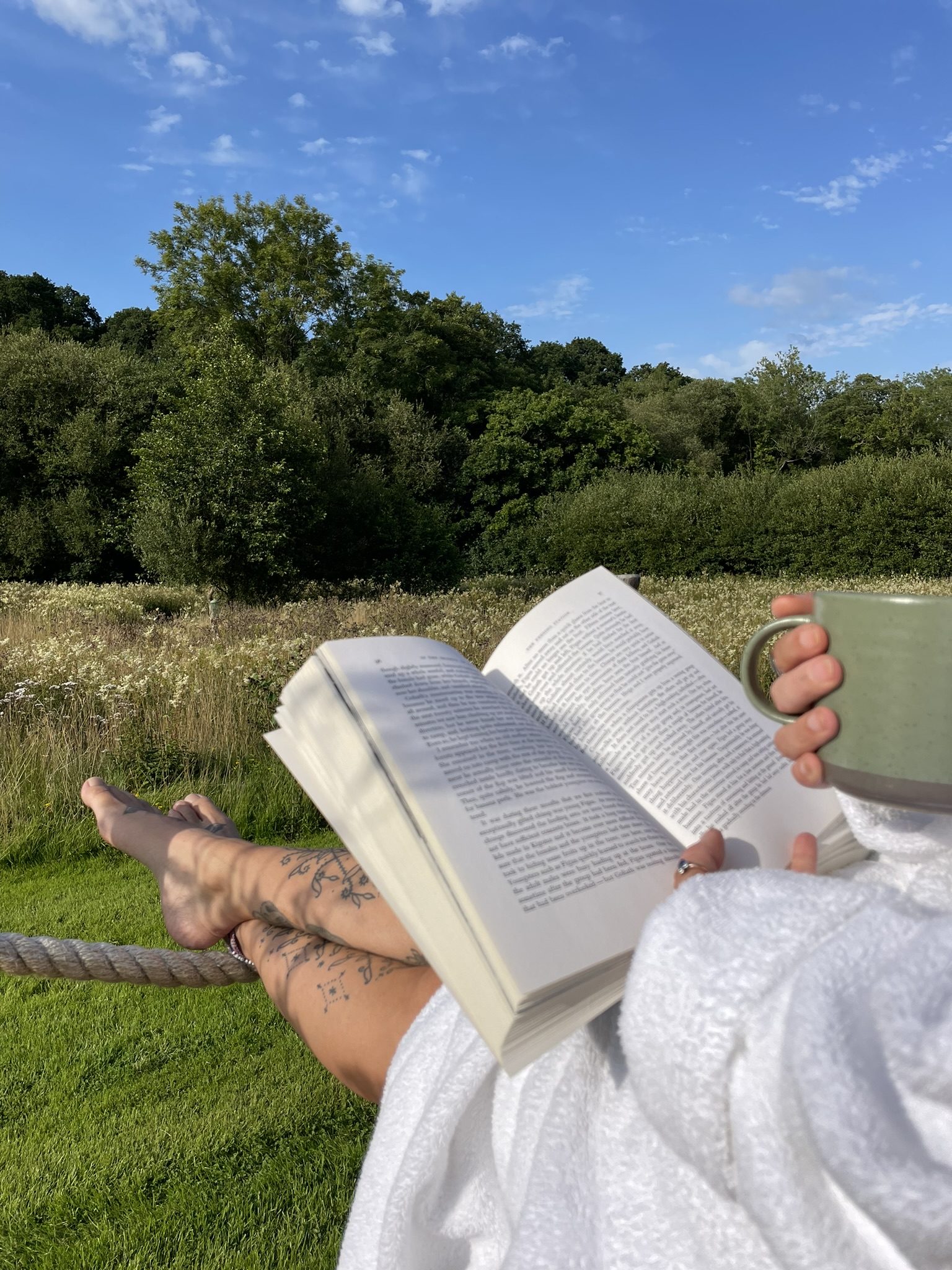 Unveiling the enchanting history of Meadowsweet and its Welsh ...